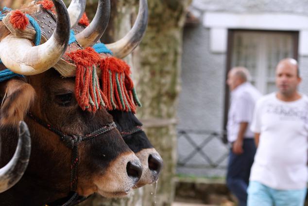 Fotos: Baserritar Eguna en las fiestas de Lezo | El Diario Vasco